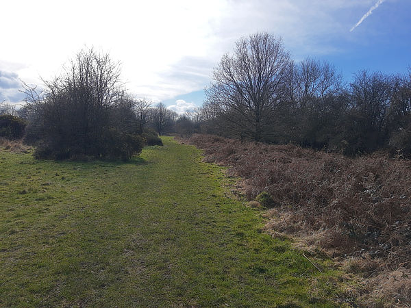 Ibstone circular walk no.3