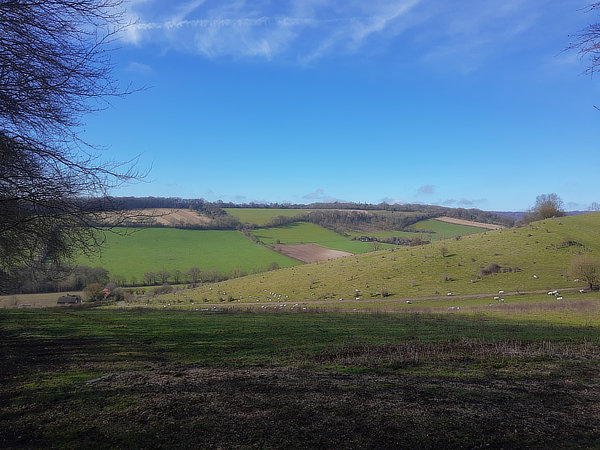Ibstone circular walk no.3