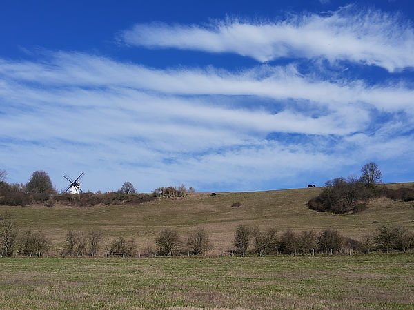 Ibstone circular walk no.3