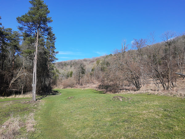 Ibstone circular walk no.3